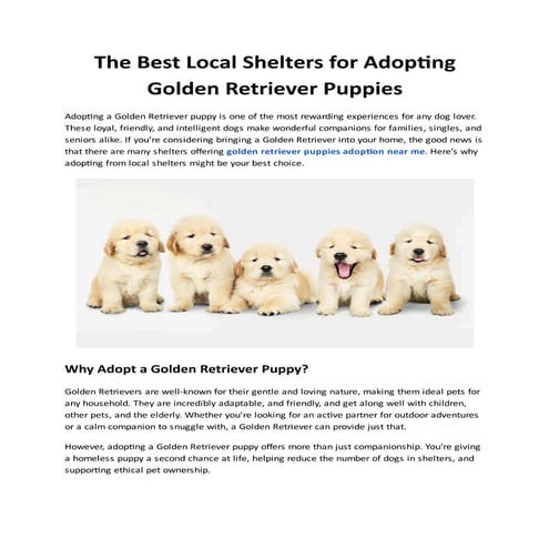 The Best Local Shelters for Adopting Golden Retriever Puppies.pdf