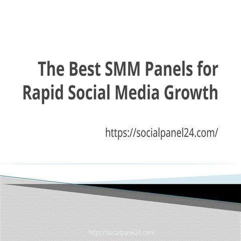 The Best SMM Panels for Rapid Social Media Growth | PPT