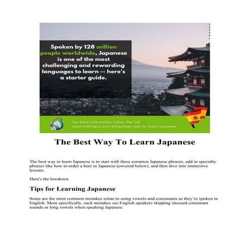 The Best Way To Learn Japanese | PDF
