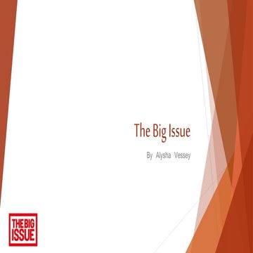 The big issue | PPTX