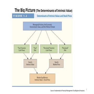 Financial_Management__The Big Picture.pptx