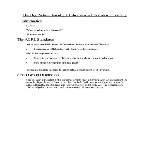 Information Literacy: The Big Picture Outline | DOC