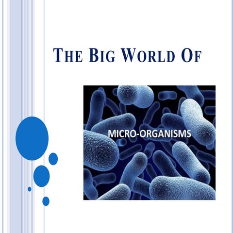 Harmful and Useful Microorganisms Presentation | PPTX