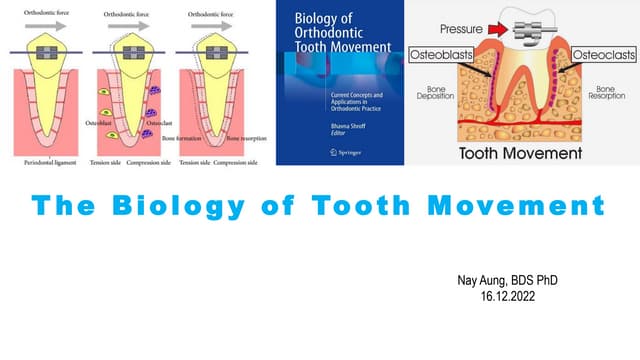 Biology of Tooth Movement | PDF