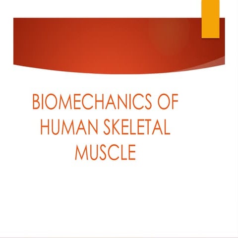 Comprehensive Biomechanics and Stretching Techniques for Joint Health ...