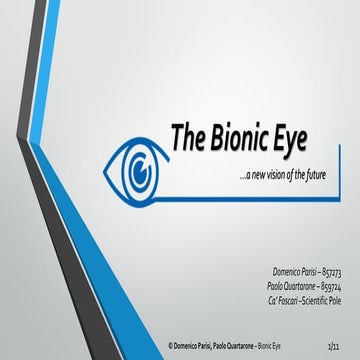 The Bionic Eye...a new vision of the future | PDF