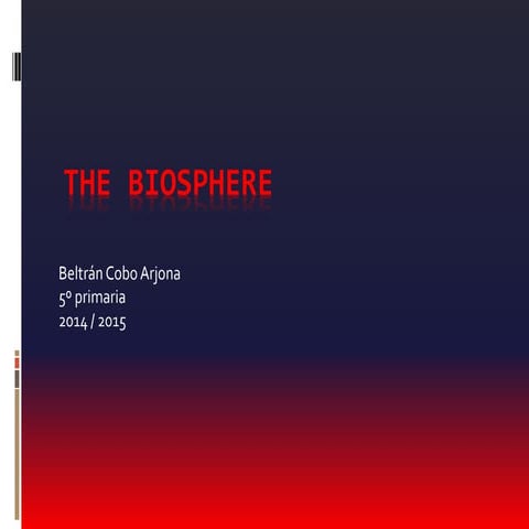 The biosphere | PPT
