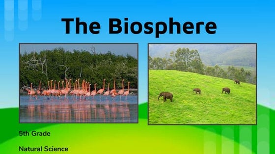Terrestrial and Aquatic Ecosystem, Biomes and distribution | PPTX