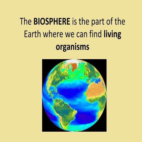 Living things and the cell | PPT