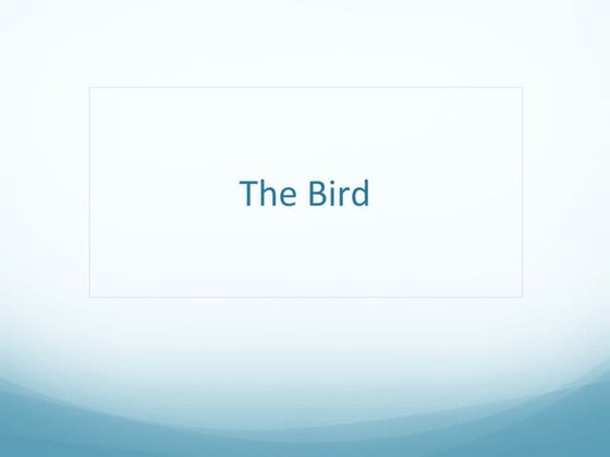 Birds ppt | PPT