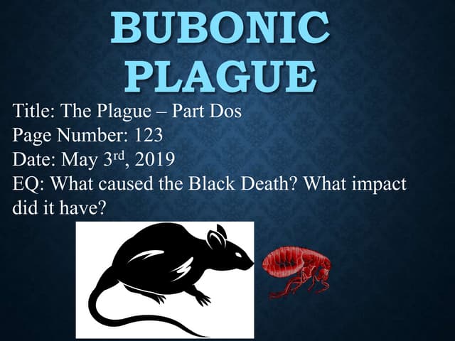 Black death powerpoint | PPT