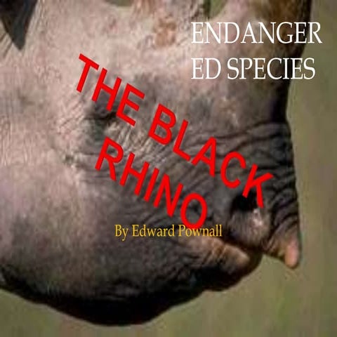 The black rhino pro | PPTX