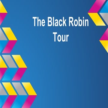 The Black Robin tour | PDF | Birdwatching | Hobbies & Interests
