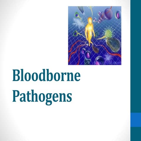 The bloodborne pathogen standard final | PPT