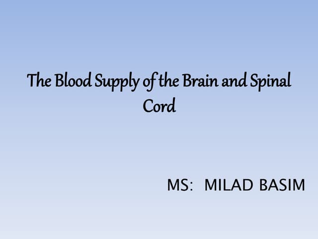 MBBS level motor homunculus | PPTX