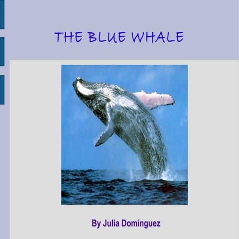 The blue whale | PPT
