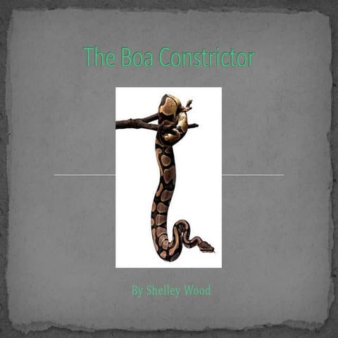 The boa constictor | PPTX