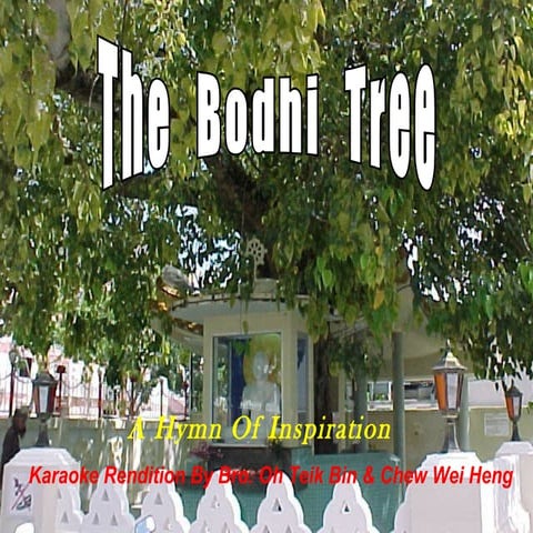 The Bodhi Tree | PPT