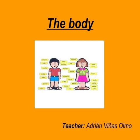 The Body | PPT