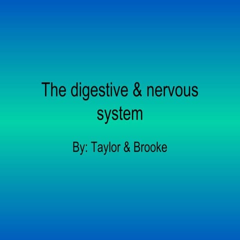 Digestive and nervous system | PPTX