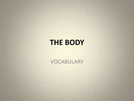Vocabulary to describe body and face features | DOC | Hair Care | Beauty