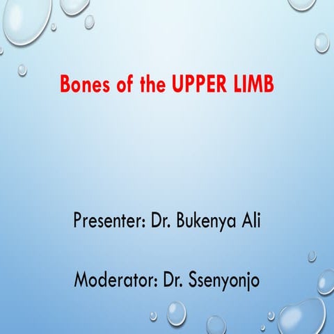 Anatomy of the Ulna: A Detailed Overview for Physiotherapy and Medical Students | PPTX