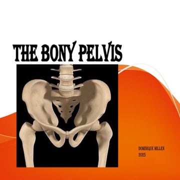 The Female Bony Pelvis. Description of same | PPTX