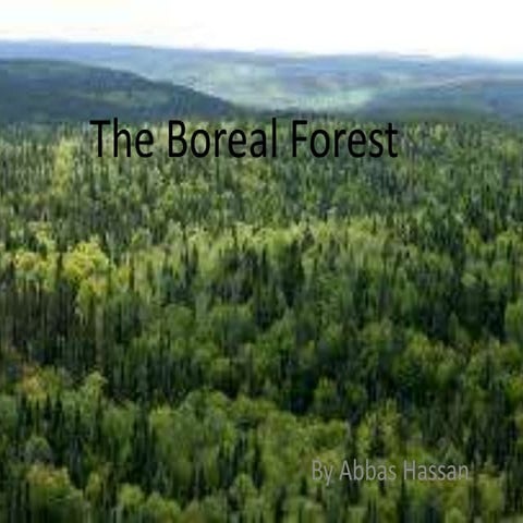 The boreal forest | PPTX
