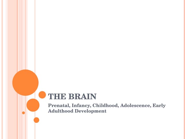 Education 1 : Brain development | PPTX | Brain and Nervous System Disorders | Diseases and ...