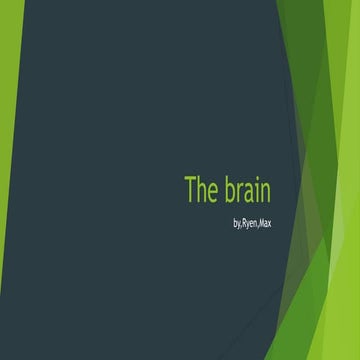 The brain | PPT
