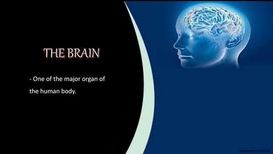 Active organs & lethargic organs - how to cure? Sahaja Yoga Remedies | PDF