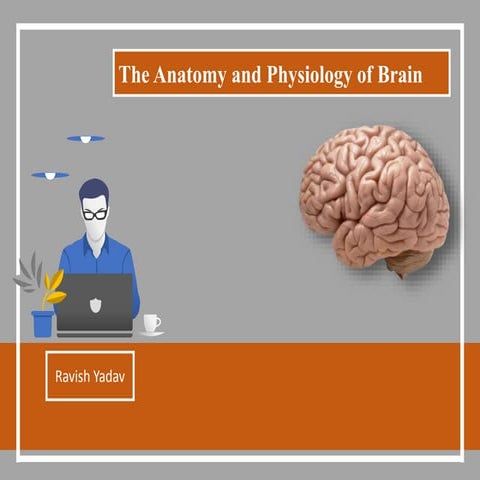 Anatomy Of Brain Ppt Principal Parts Of Brain Physiology And Anatomy