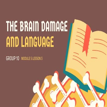 THE BRAIN DAMAGE AND LANGUAGE physiology | PPT
