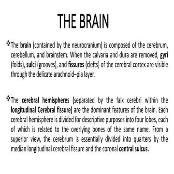 gross anatomy of The Brain (Dr Anani) ANA 311.pptx