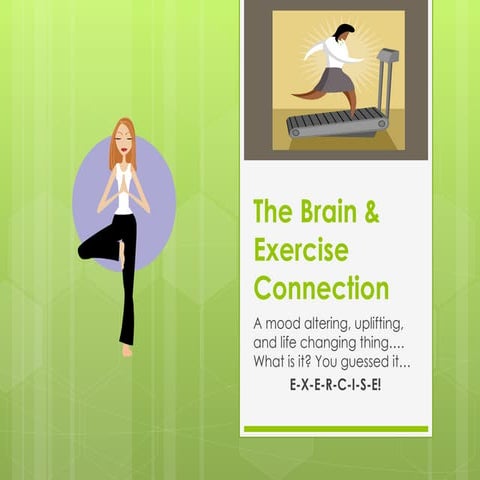 The brain __exercise_connection_-_power_point_presentation final | PPT