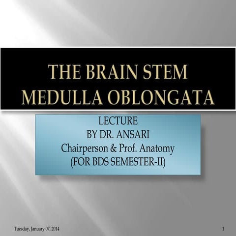 The brain stem i bds-ii | PPTX