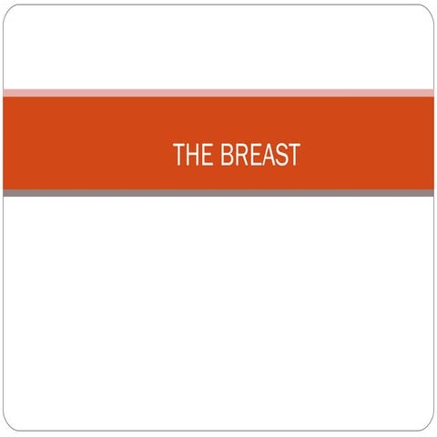 Mammary Gland Anatomy (BD Chaurasia).pdf