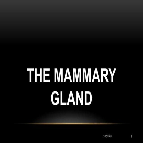 Mammary Gland Anatomy (BD Chaurasia).pdf
