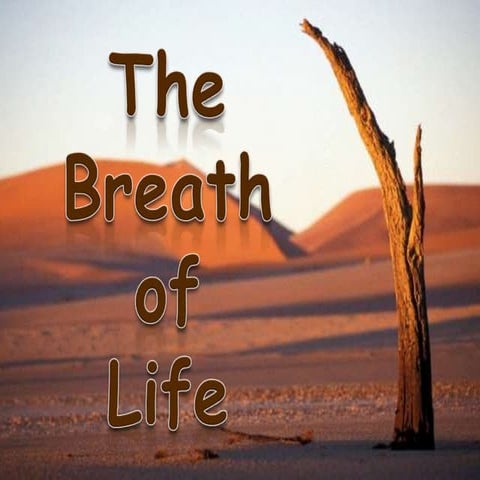 The Breath of Life | PPTX