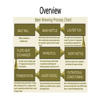 The Brewing Process.pptx