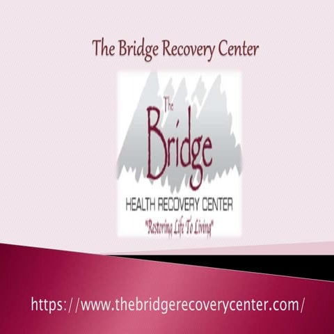 The bridge recovery center | PPT