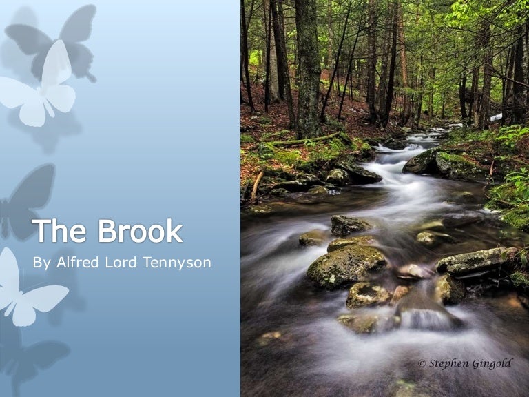 The brook