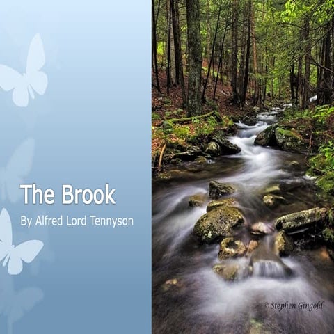 The brook | PPT