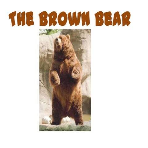 Brown Bear, Brown Bear, What Do You See | PPT