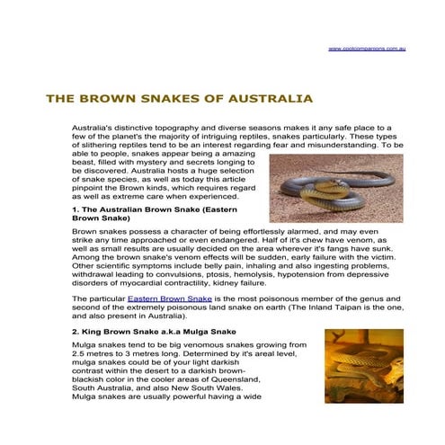 The Brown Snakes of Australia | PDF