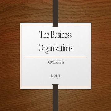 The business organizations | PPTX