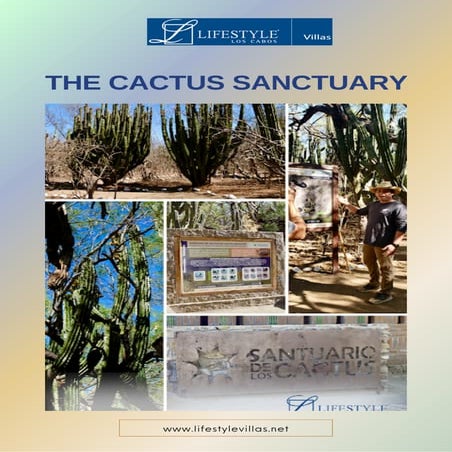 The Cactus Sanctuary.pdf | Zoos & Aquariums | Attractions