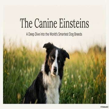 Top 10 Most Intelligent Dogs Based on IQ & Obedience | PDF