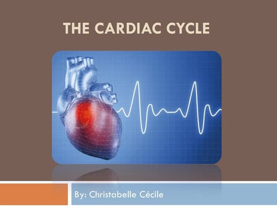 Pulmonary and systemic circulation | PPT