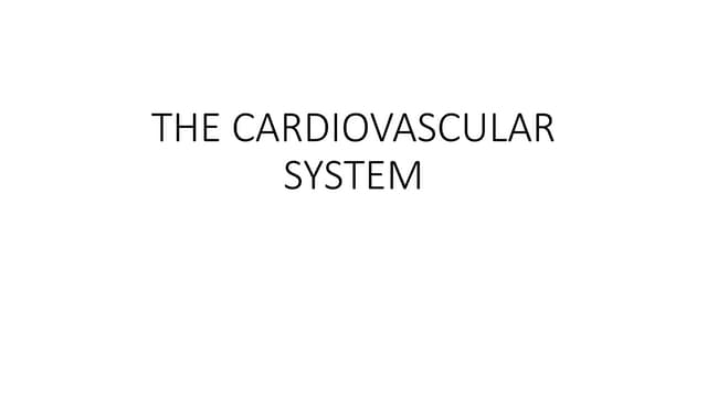 Red blood cell formation and fate of RBC | PDF